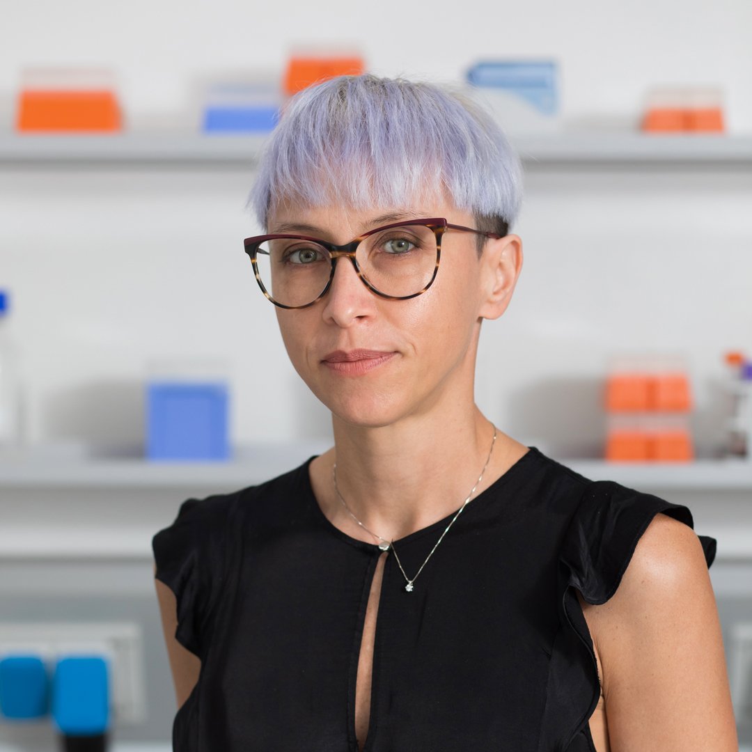 Styleguide | CELLPLY